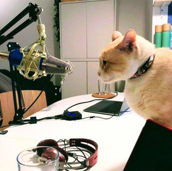 Episode 13: Let’s make sense of Data Science – Techpoint Charlie